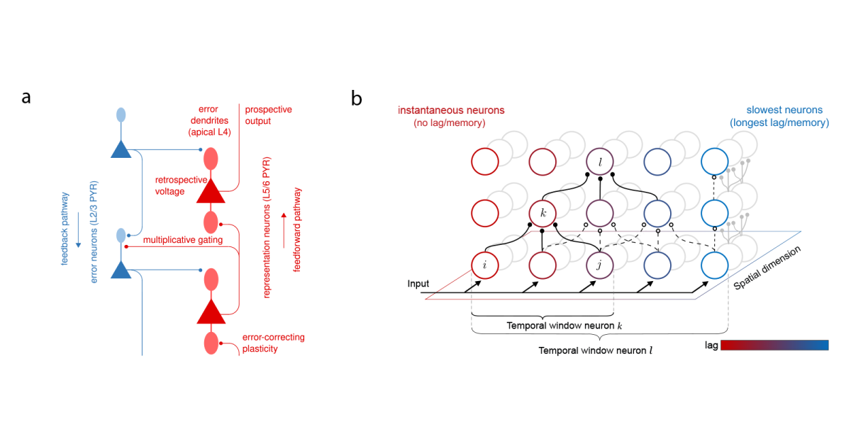 From brains to AI: a new theory of learning through time | EBRAINS